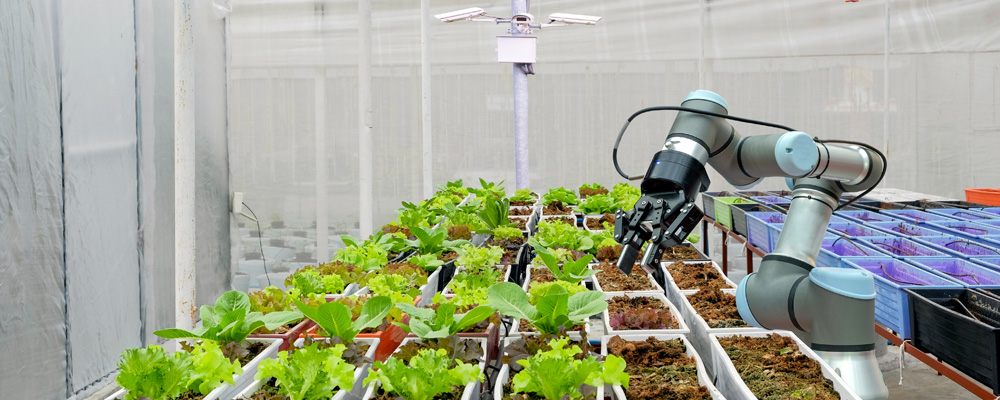 Agroalimentario | Maviflex